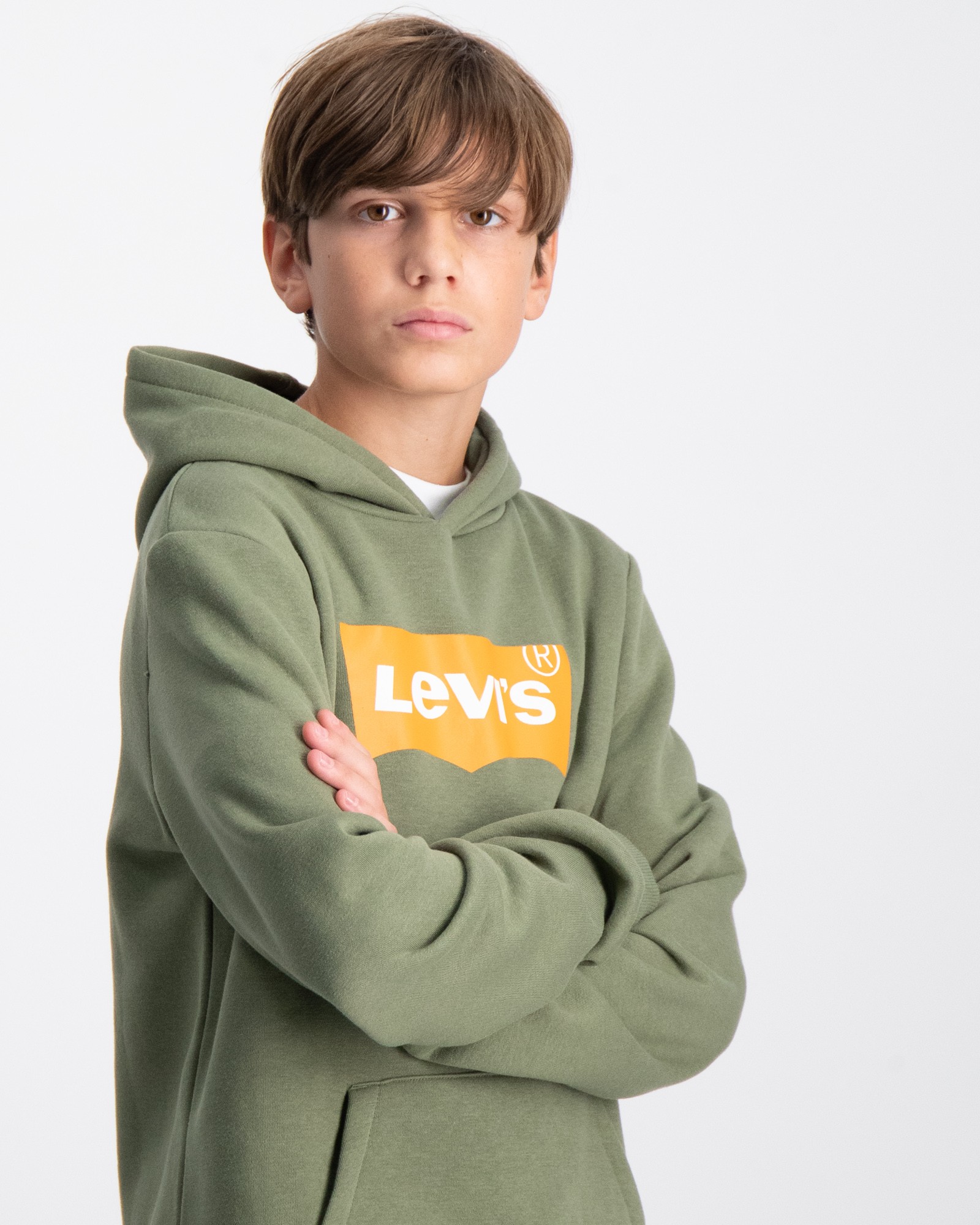 Levi's LVB BATWING SCREENPRINT HOODIE Grøn til Dreng | Kids Brand Store