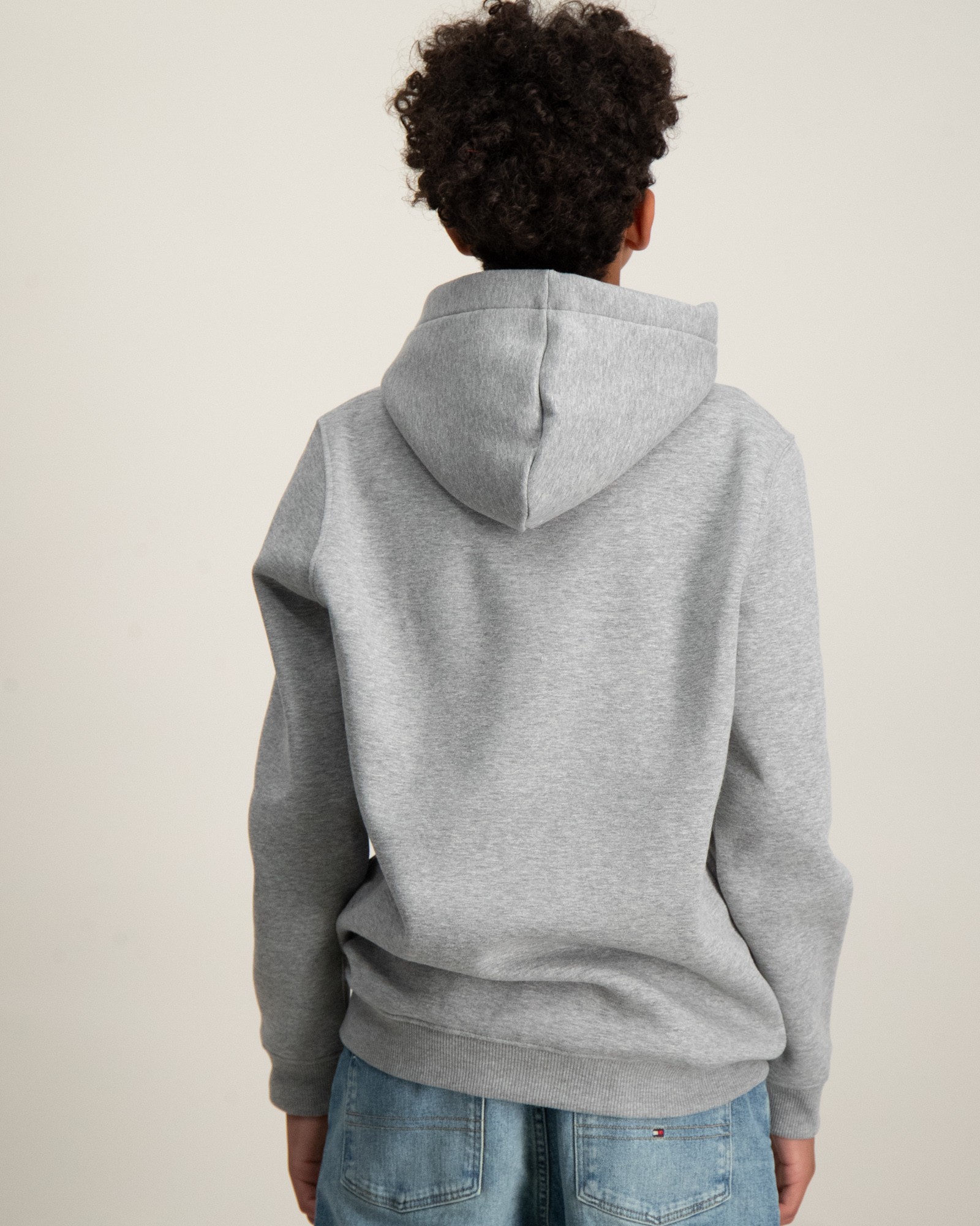 Alpha Industries Basic Hoodie BL K Grau für Jungen | Kids Brand Store
