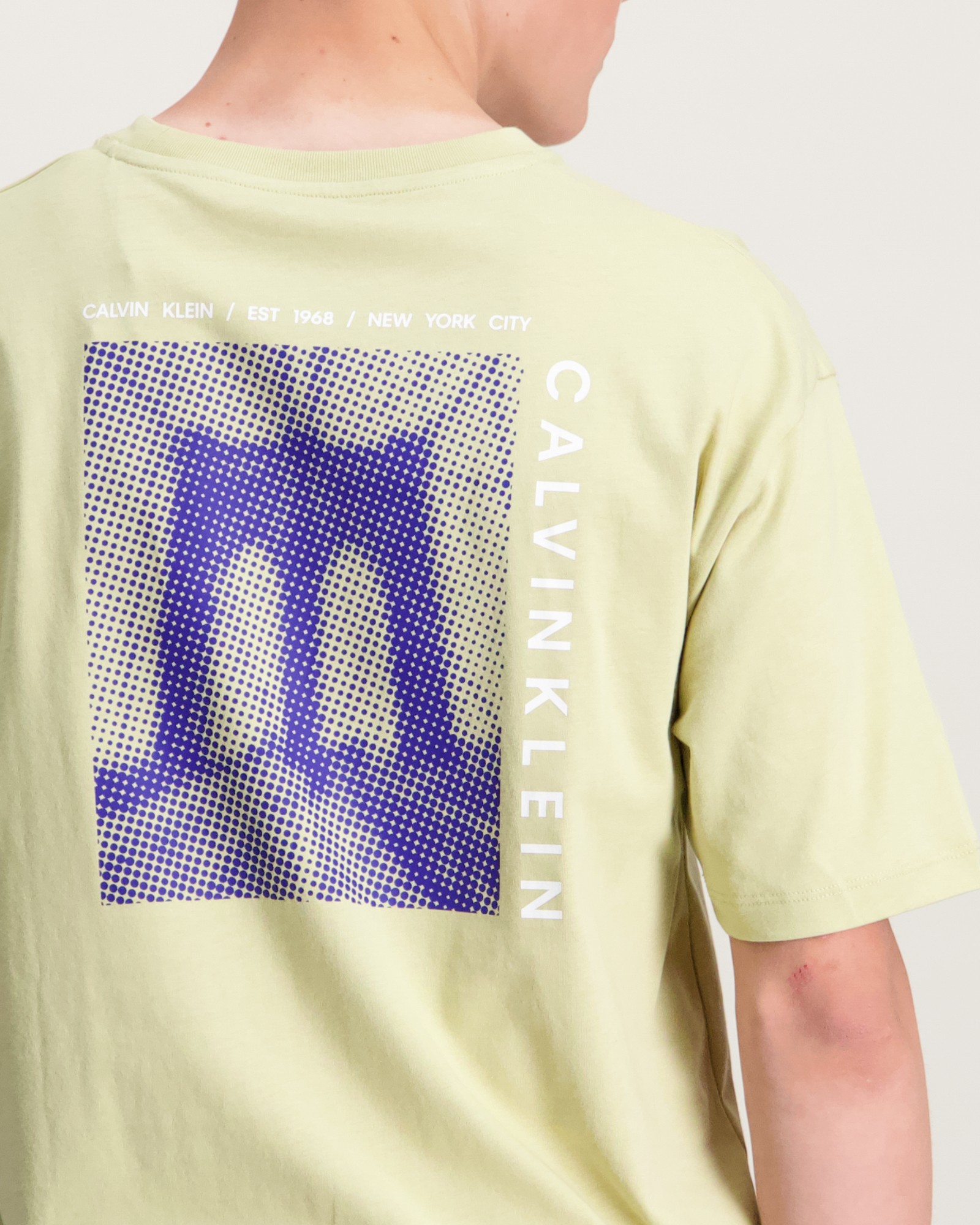Calvin Klein BRIDGE SS T-SHIRT Vihreä varten Pojat | Kids Brand Store